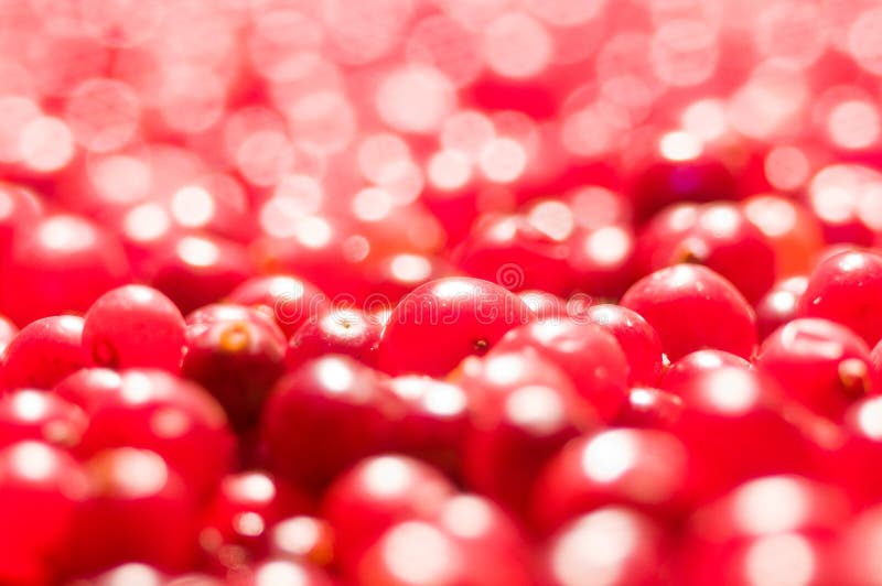 Cranberries background stock image. Image of dieting, closeup - 7157203