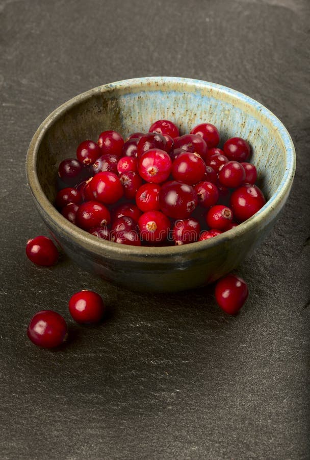 Cranberries stock photo. Image of fall, fresh, nature - 34989736