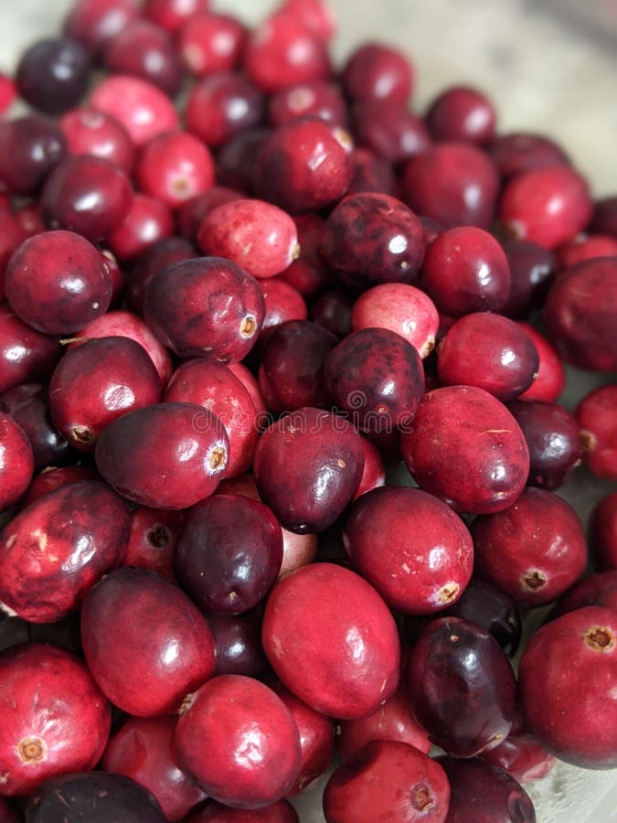 Cranberries on a Granite Table Top Stock Photo - Image of fruit, nature ...