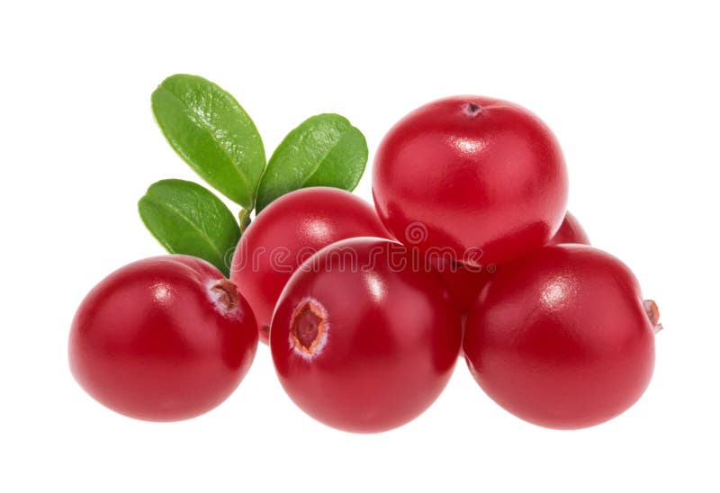 Cranberries Isolated on White Background with Clipping Path Stock Photo ...