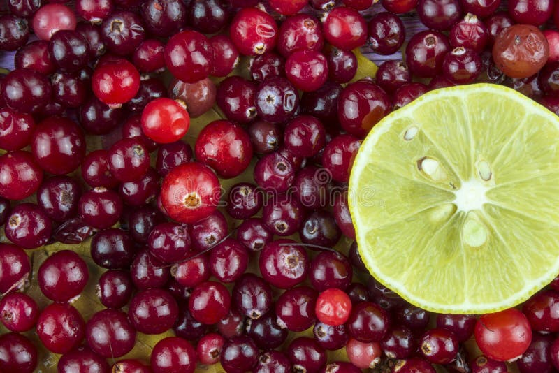 Cranberries and Lemon Slice Close-up. Stock Photo - Image of fresh ...