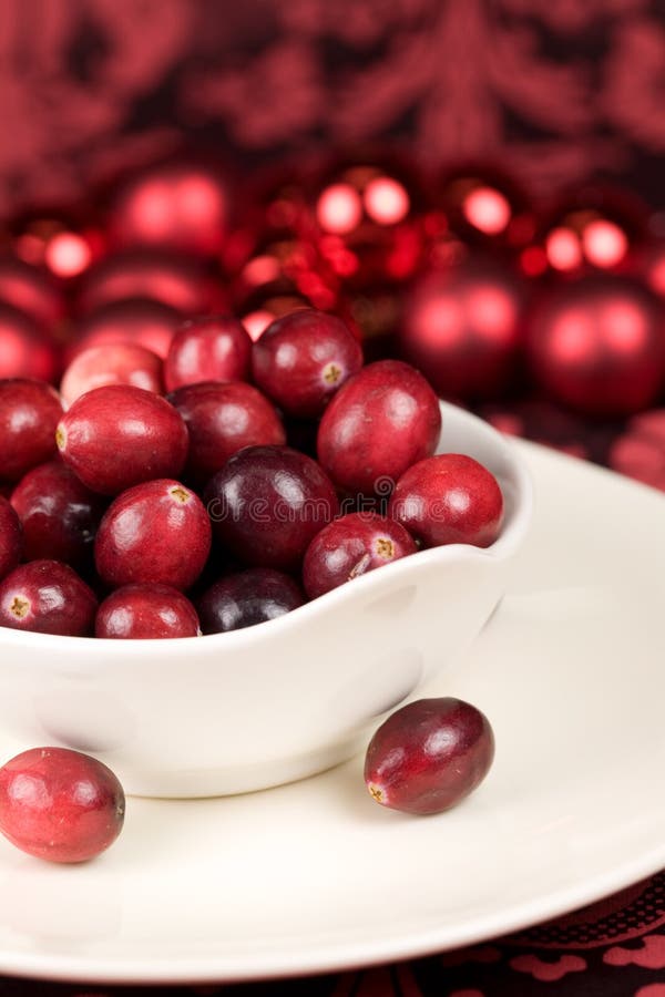 Cranberries on red stock photo. Image of bowl, healthy - 3895266