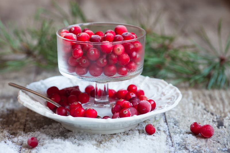 Cranberries and Snow on a Saucer Stock Image - Image of board, saucer ...