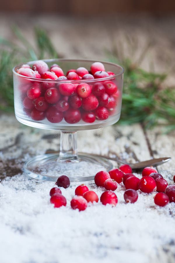 Cranberries and Snow on a Saucer Stock Image - Image of board, saucer ...