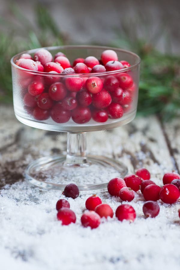 Cranberries and Snow on a Saucer Stock Image - Image of season, food ...