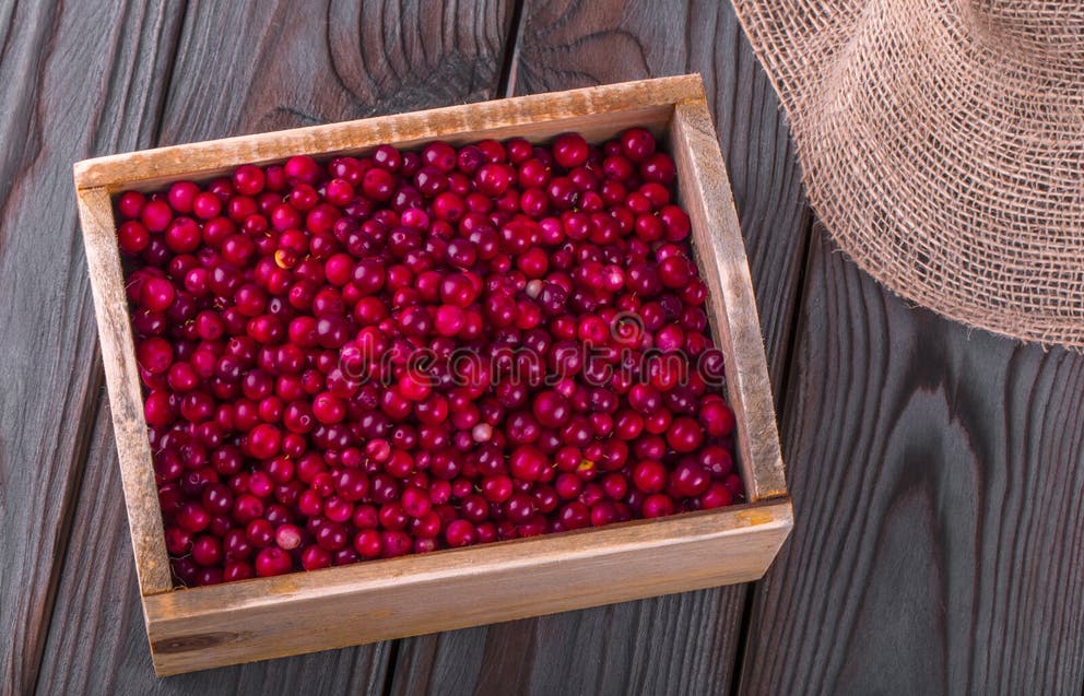 Cranberries in a Wooden Box Stock Image - Image of carpenter, crate ...