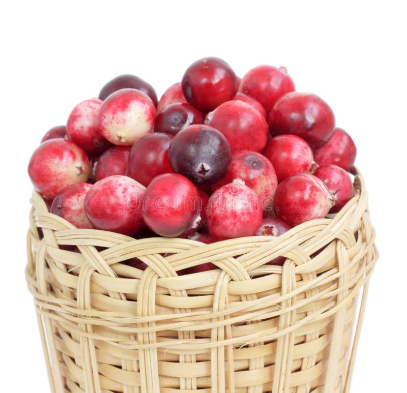 Cranberry stock photo. Image of group, healthy, cranberry - 11239862