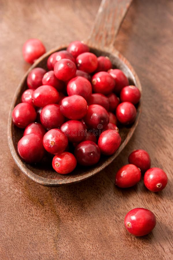 Cranberry stock photo. Image of fall, cranberries, food - 1490280