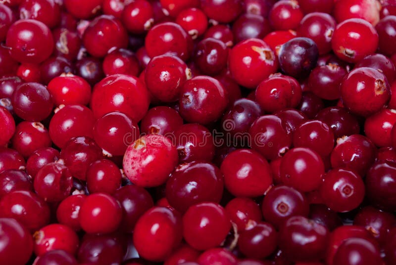 Cranberry Background stock photo. Image of diet, fruit - 26917432