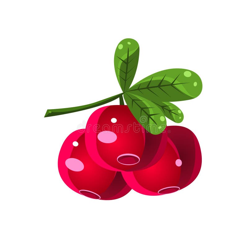 Cranberry Cartoon Stock Illustrations – 4,817 Cranberry Cartoon Stock ...
