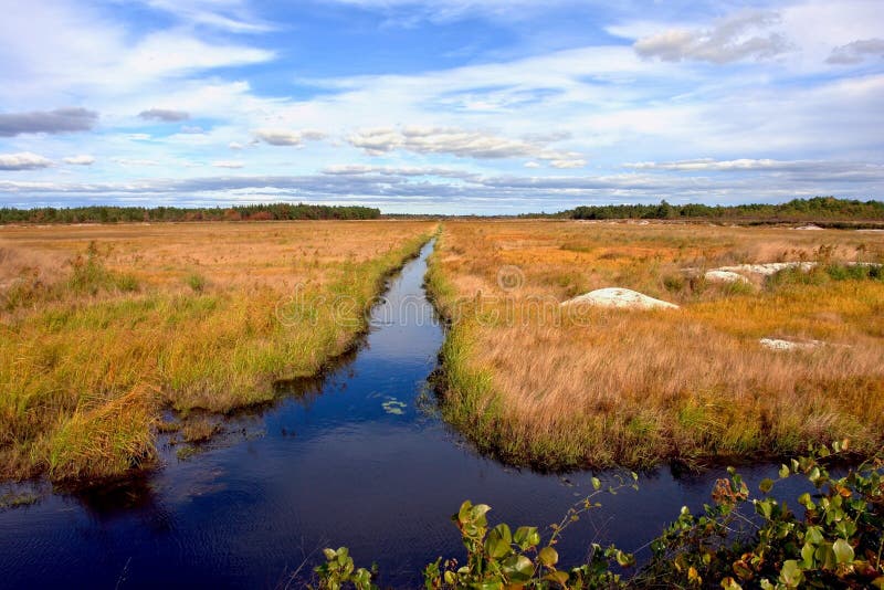 Cranberry Bog and Irrigation Canal in New Jersey Stock Image - Image of ...