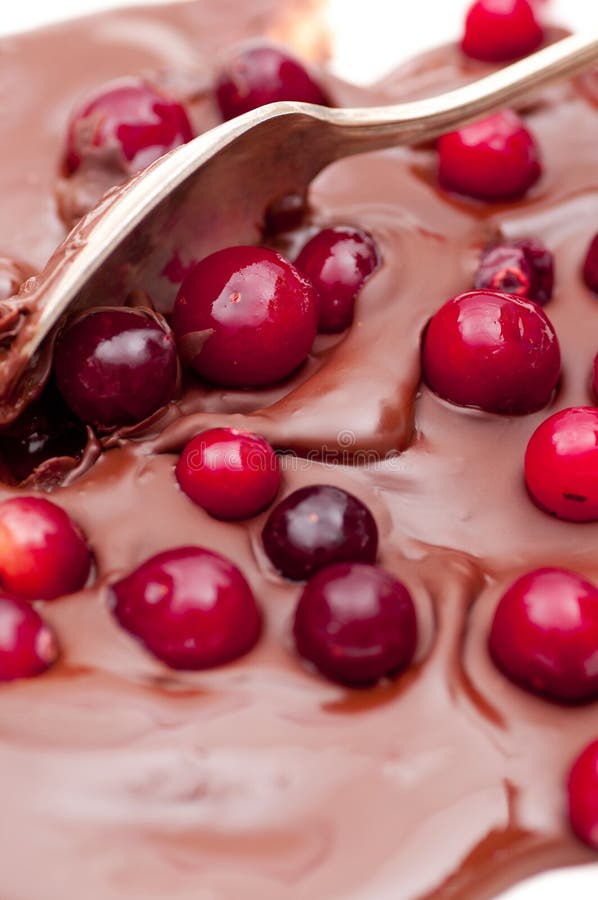 Cranberry Chocolate stock photo. Image of chocolate, cranberry - 28640968