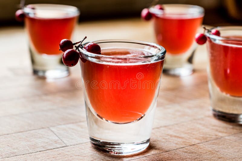 Cranberry Cocktail Shot with Vodka Stock Photo - Image of alcoholic ...