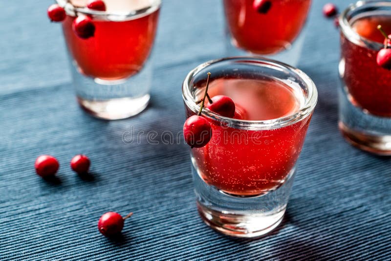 Cranberry Cocktail Shot with Vodka Stock Image - Image of copy, space ...
