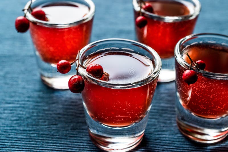Cranberry Cocktail Shot with Vodka Stock Photo - Image of freshness ...