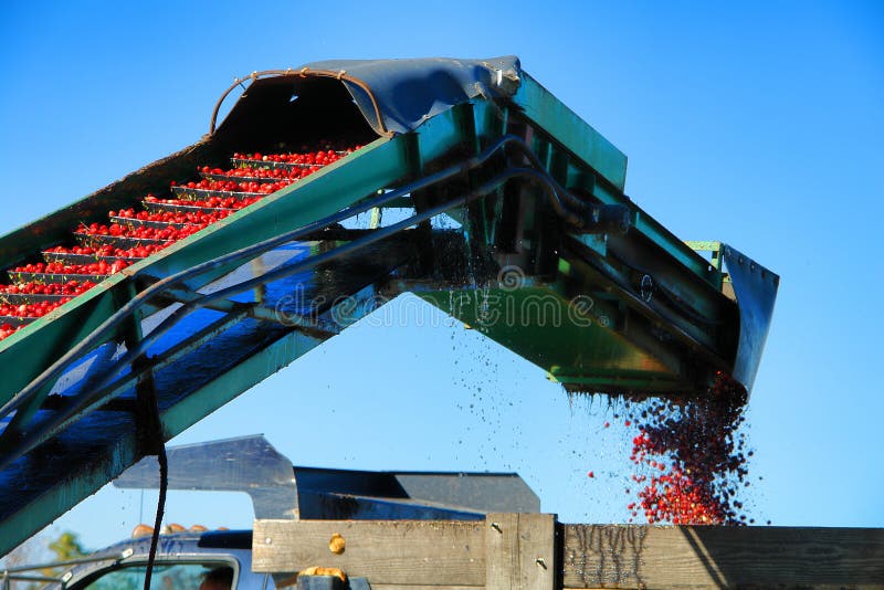 Cranberry Harvesting Equipment Machine