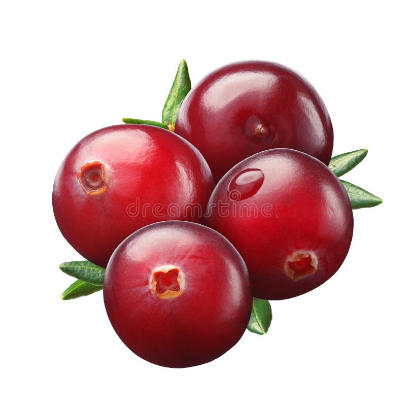 Cranberry, Four Berries, Paths Stock Image - Image of nordic, clipping ...