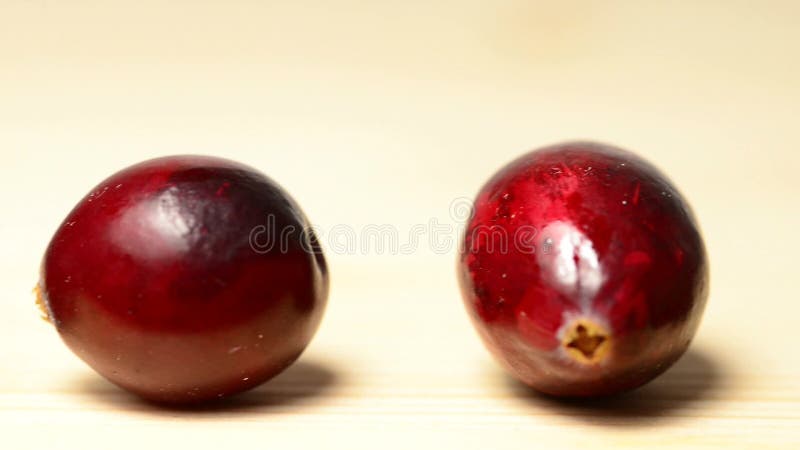 Cranberry, Fresh on Turntable Stock Footage - Video of sweet, tasty ...