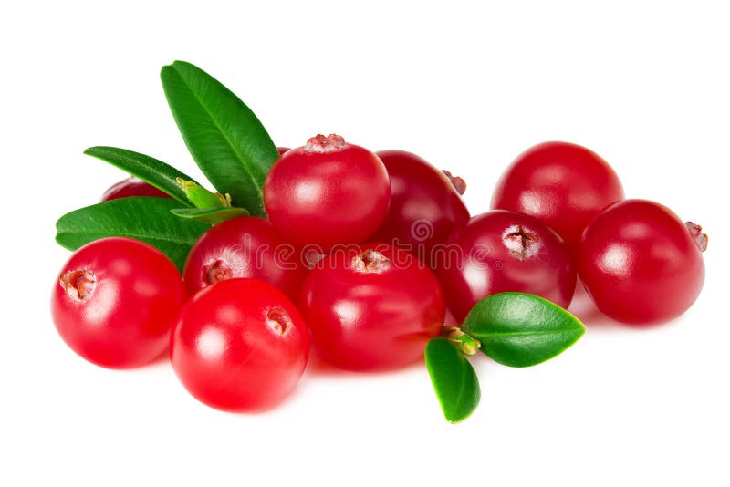 Cranberry with Green Leaves Isolated on White Background Stock Photo ...