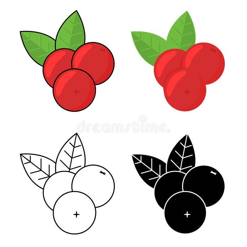 Cranberry Icons. Vector Illustration for Design Stock Vector ...