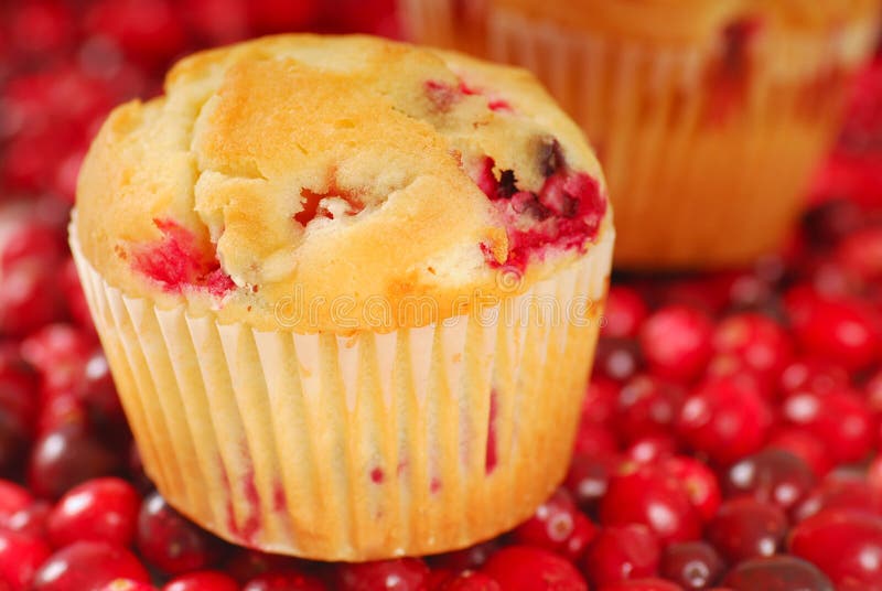 Cranberry muffin stock photo. Image of tart, muffin, food - 7197472