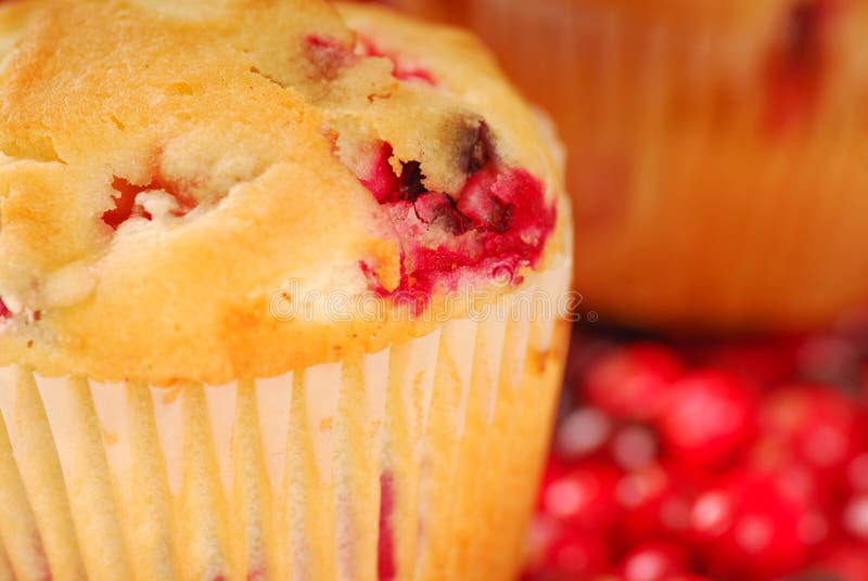 Cranberry muffin stock image. Image of berry, nutrition - 7197473