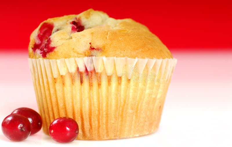 Cranberry muffin stock photo. Image of snack, bread, confection - 7197482
