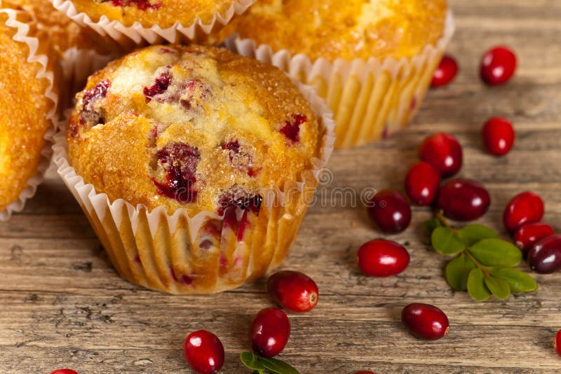 Cranberry muffins stock image. Image of dish, cake, eating - 48285229