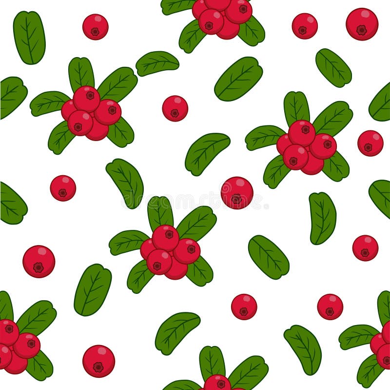 Cranberry Pattern Semless Background Stock Vector - Illustration of ...