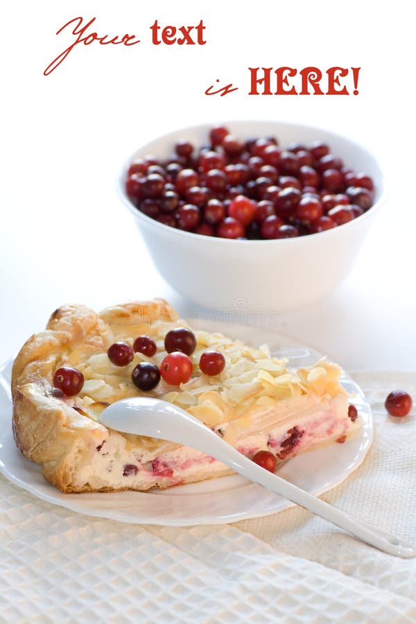 Cranberry pie stock image. Image of cream, bakery, beige - 22894993