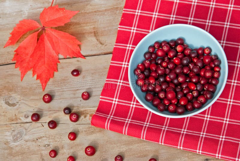 Cranberry on Rustical Wood Table Stock Photo - Image of dessert, herb ...
