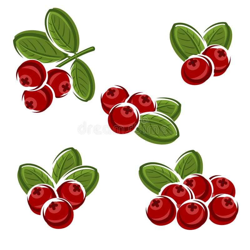 Cranberry Cartoon Stock Illustrations – 10,895 Cranberry Cartoon Stock ...