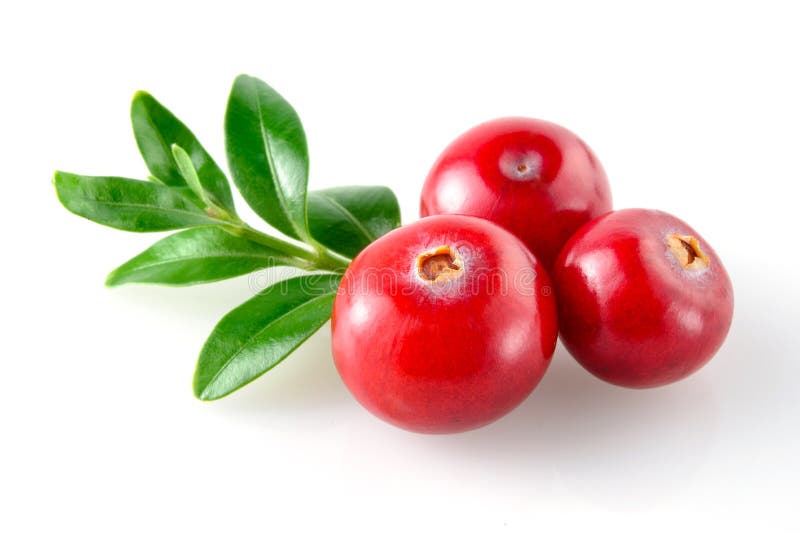 Cranberry on white stock photo. Image of juicy, macro - 35893628
