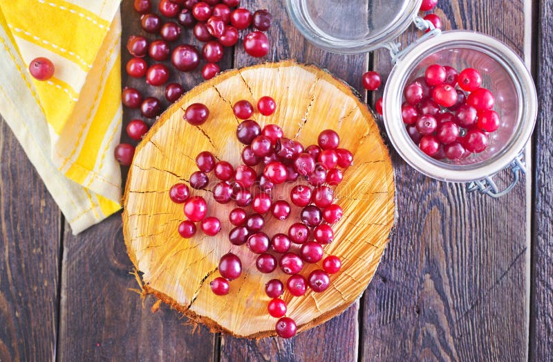 Cranberry stock image. Image of autumn, cranberry, beautiful - 47795287