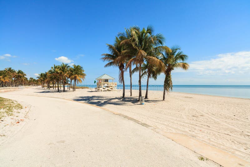 Crandon Park Beach stock image. Image of relax, nature - 127350997