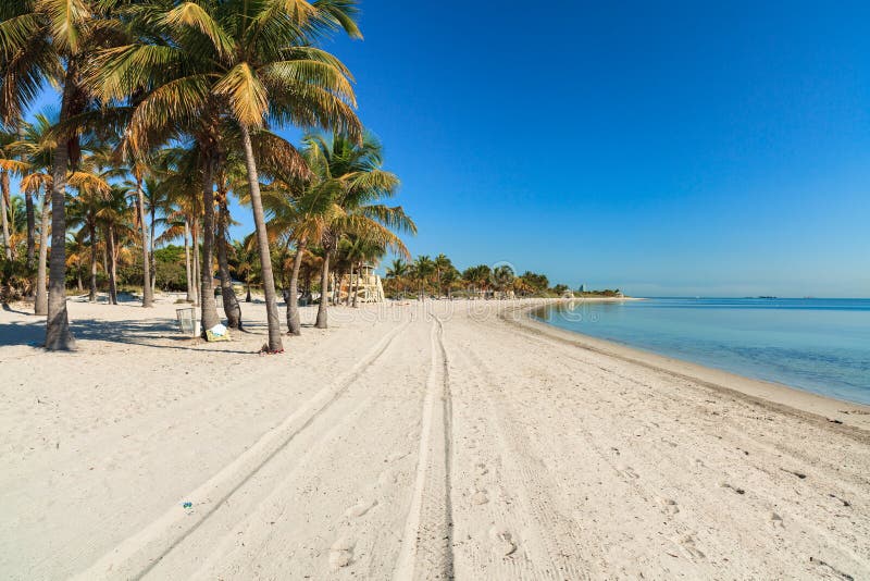 Crandon Park Beach stock photo. Image of holiday, outdoors - 127351018
