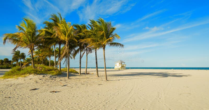 Crandon Park Beach stock image. Image of attraction, natural - 32244441
