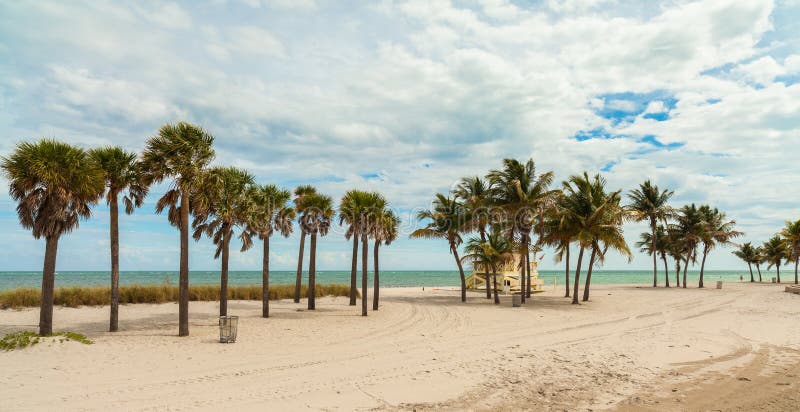 Crandon Park Beach stock photo. Image of florida, outdoor - 38645328