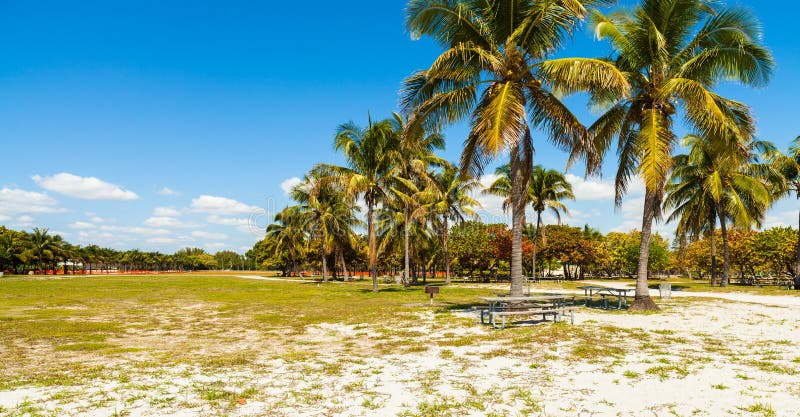Crandon Park Beach stock photo. Image of beach, miami - 38736822
