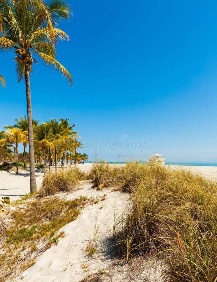 Crandon Park Beach stock photo. Image of idyllic, natural - 38737018