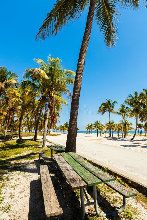 Crandon Park Beach stock image. Image of idyllic, lifestyle - 38737205