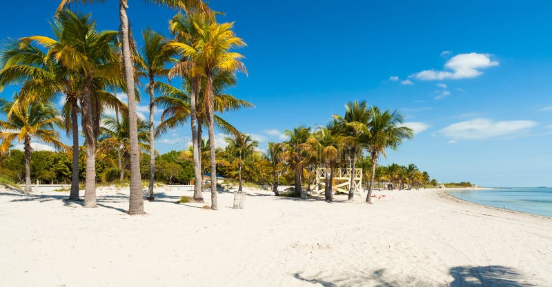 Crandon Park Beach stock image. Image of attraction, florida - 38737353