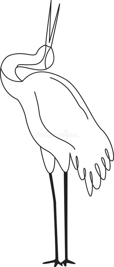 Crane Bird Standing Outline Stock Vector - Illustration of crane, bird ...