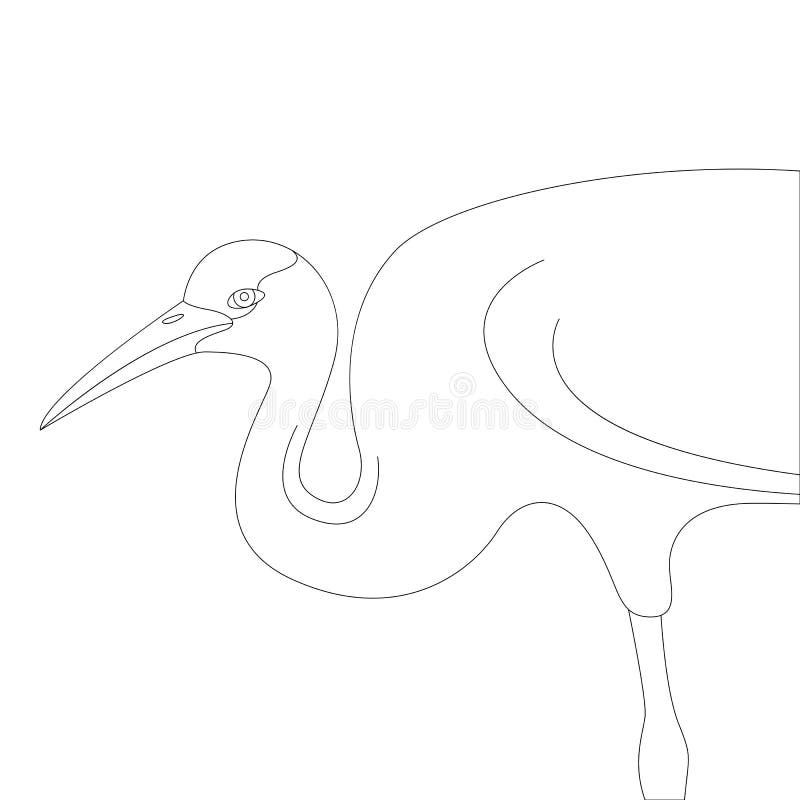 Crane Bird , Vector Illustration, Lining Draw, Profile Stock Vector ...