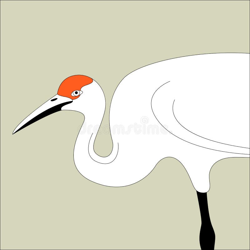 Crane Bird , Vector Illustration, Lining Draw, Profile Stock Vector ...