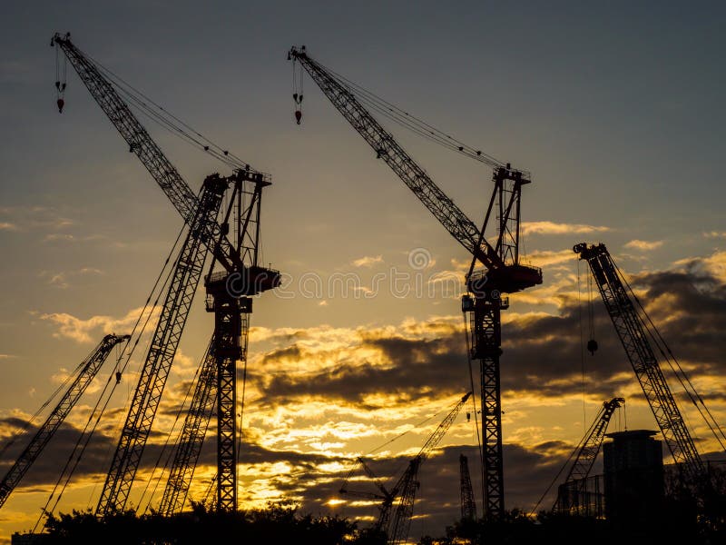 Crane Evening landscape stock photo. Image of heavy - 123424720