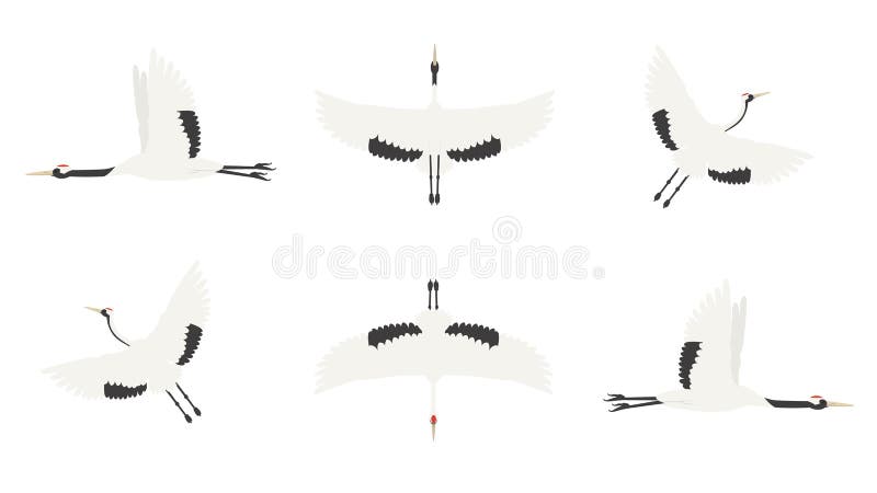 Crane Flying Illustration Set Stock Vector - Illustration of crane ...
