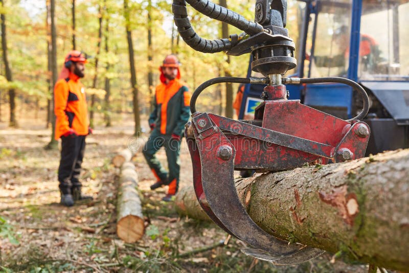 330 Forwarder Tree Stock Photos - Free & Royalty-Free Stock Photos from ...