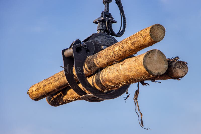 A Crane with Jaws Loads Trunks of Tree Stock Photo - Image of heap ...