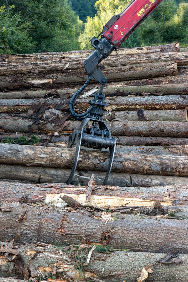 576 Pile Tree Lift Stock Photos - Free & Royalty-Free Stock Photos from ...